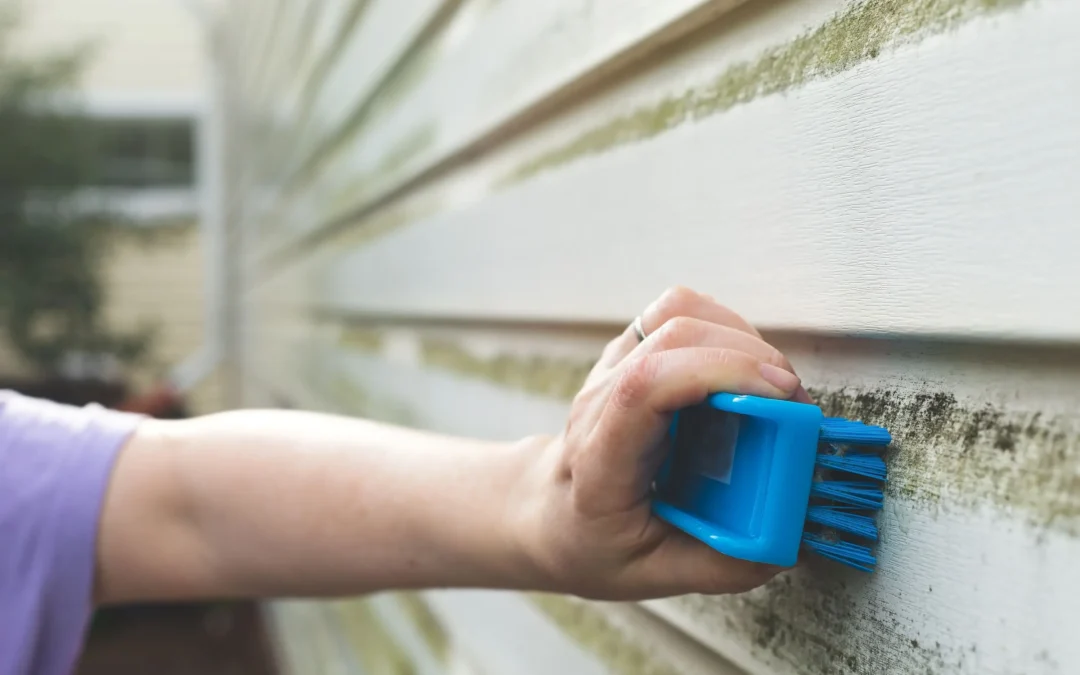 Soft Washing Vinyl, Stucco, and Wood Siding | Empire Home